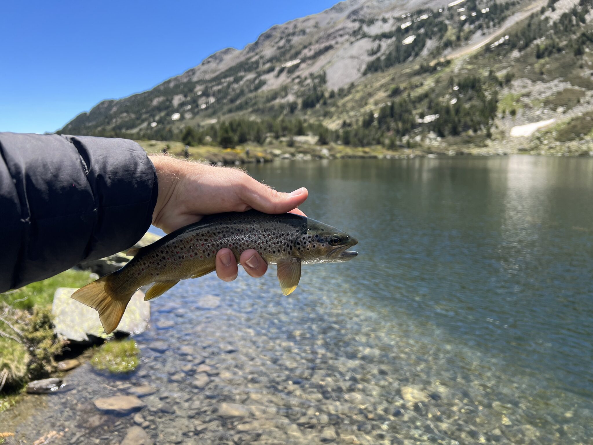 The 10 Best Fly Fishing Books of the 21st Century